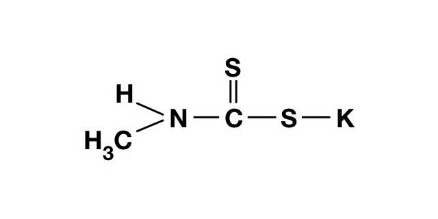 Metam potassio - Sostanze attive - Fitogest