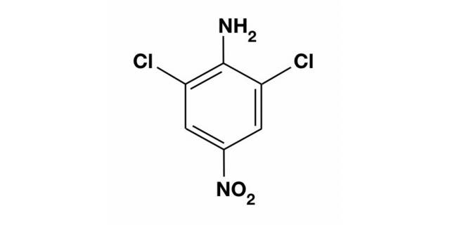 Dicloran - Sostanze attive - Fitogest