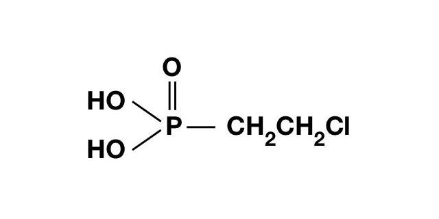Etefon - Sostanze attive - Fitogest