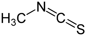Metil-isotiocianato - Sostanze attive - Fitogest