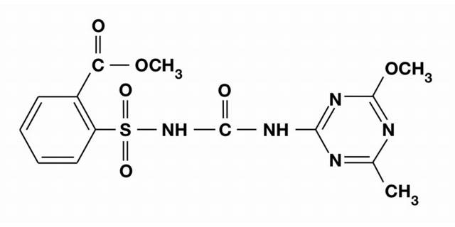 Metsulfuron-metile - Sostanze attive - Fitogest