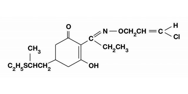 Cletodim - Sostanze attive - Fitogest