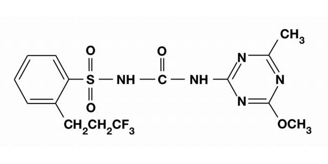 Prosulfuron - Sostanze attive - Fitogest