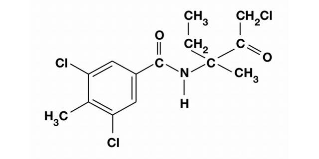 Zoxamide - Sostanze attive - Fitogest