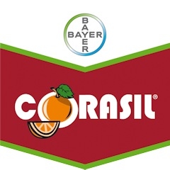 CORASIL - Agrofarmaci - Fitogest