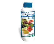 ZOXIUM 240 SC - Agrofarmaci - Fitogest